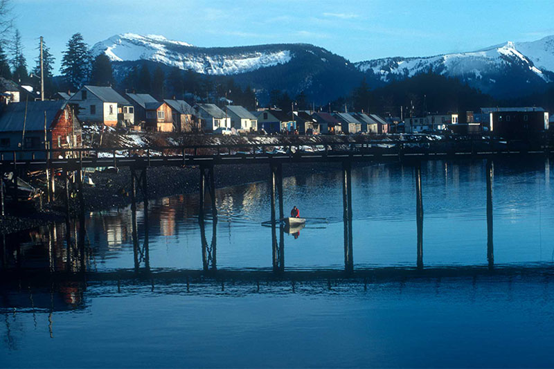 Alaska Whale Watching Tour with added bonus of drone footage during ...